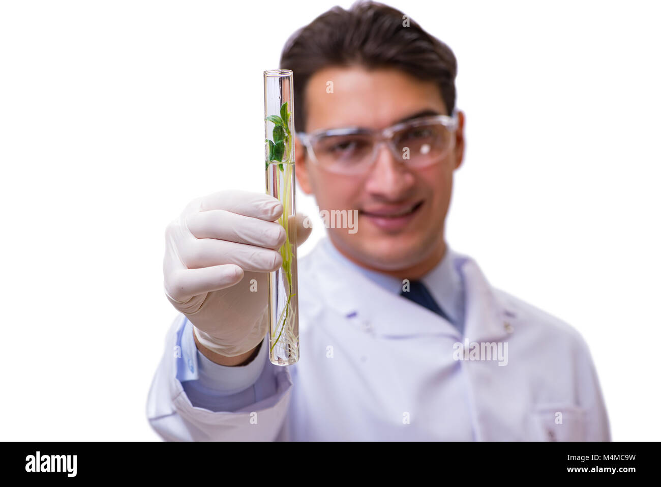 Scientist with green seedling in glass isolated on white Stock Photo ...