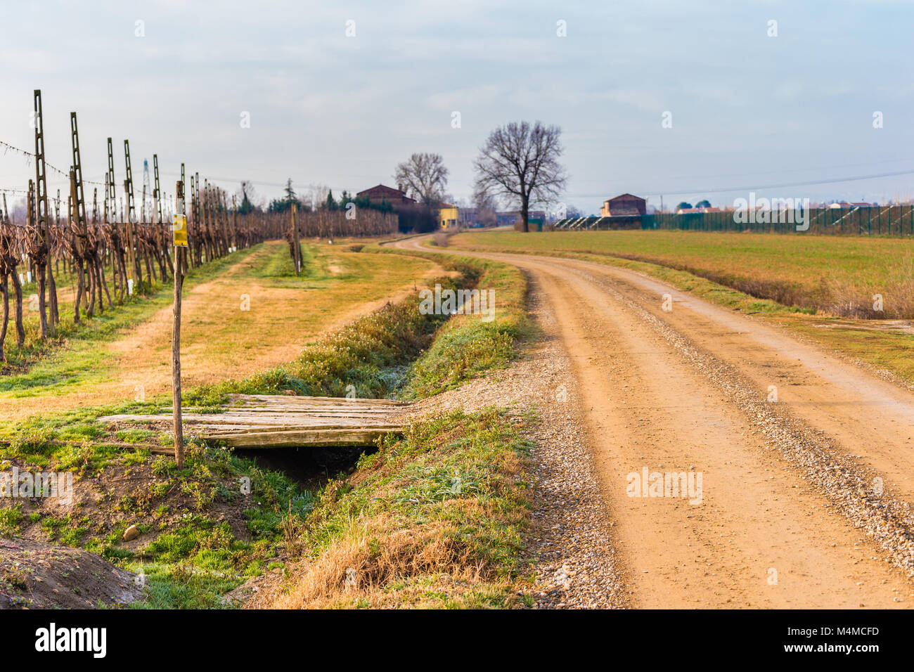 country dirt road and ditch on a cold winter morning Stock Photo - Alamy