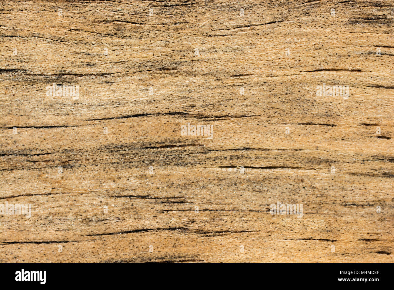 Wooden texture with natural patterns as a background Stock Photo - Alamy
