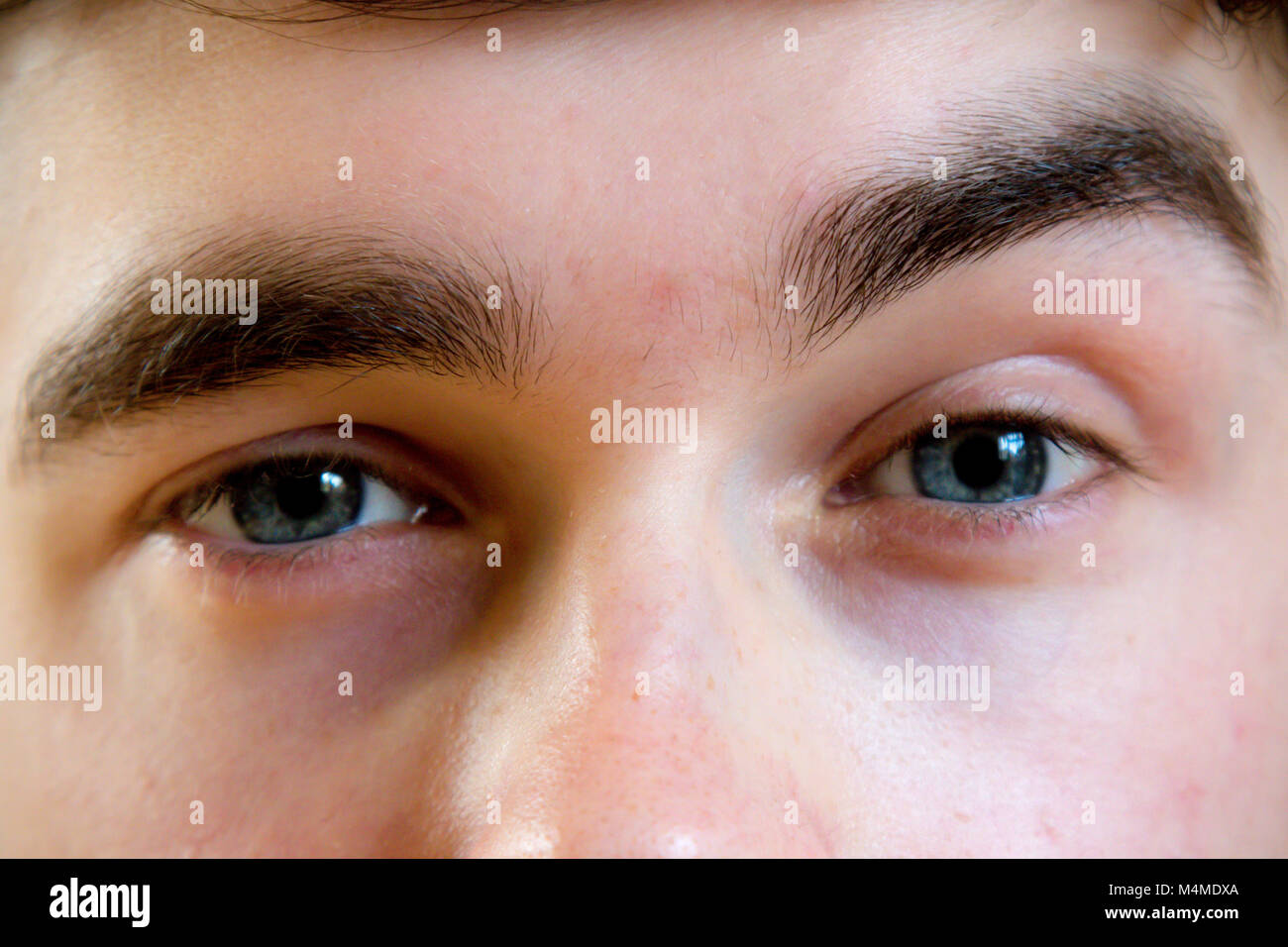 Mischevious Raised Eyebrow