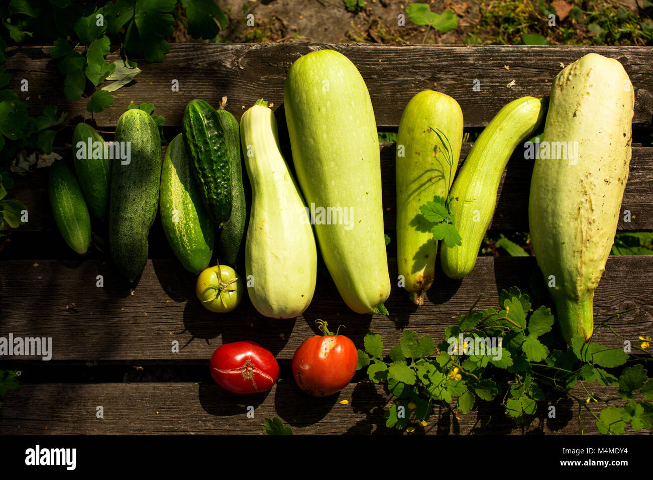 Fresh summer vegetable crop on wooden background outdoors, top view ...