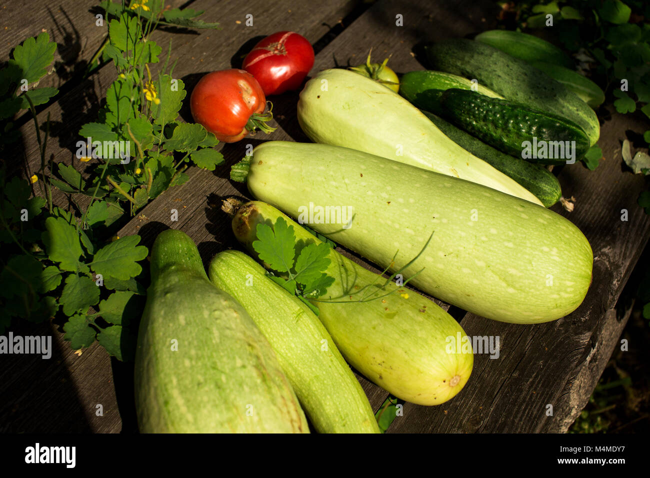 Fresh summer vegetable crop on wooden background outdoors, top view ...