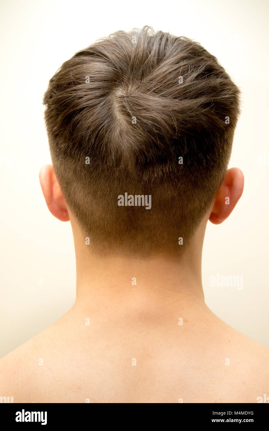 Reverse portrait of a young adult's head Stock Photo - Alamy