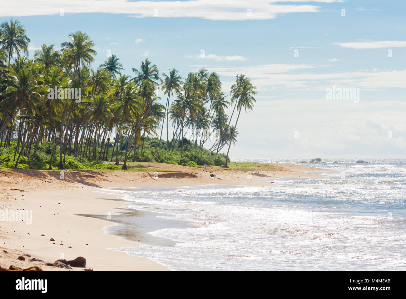 Sri Lanka, Asia, Rathgama - Beautiful natural beach landscape of ...