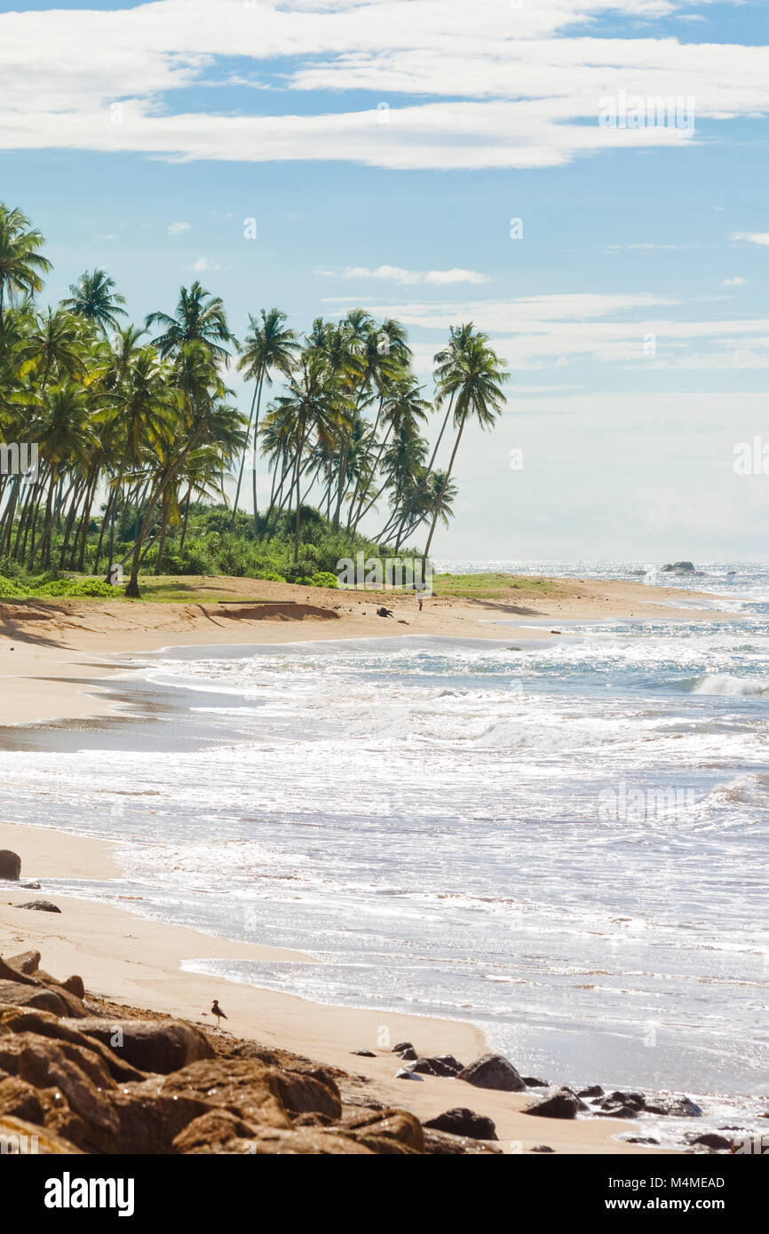 Sri Lanka, Asia, Rathgama - Peaceful natural beach landscape of Rajgama ...