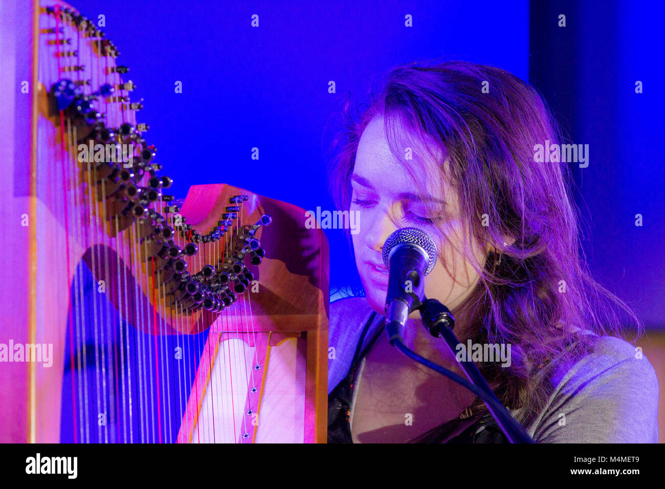 Young woman playing the clarsach Stock Photo - Alamy