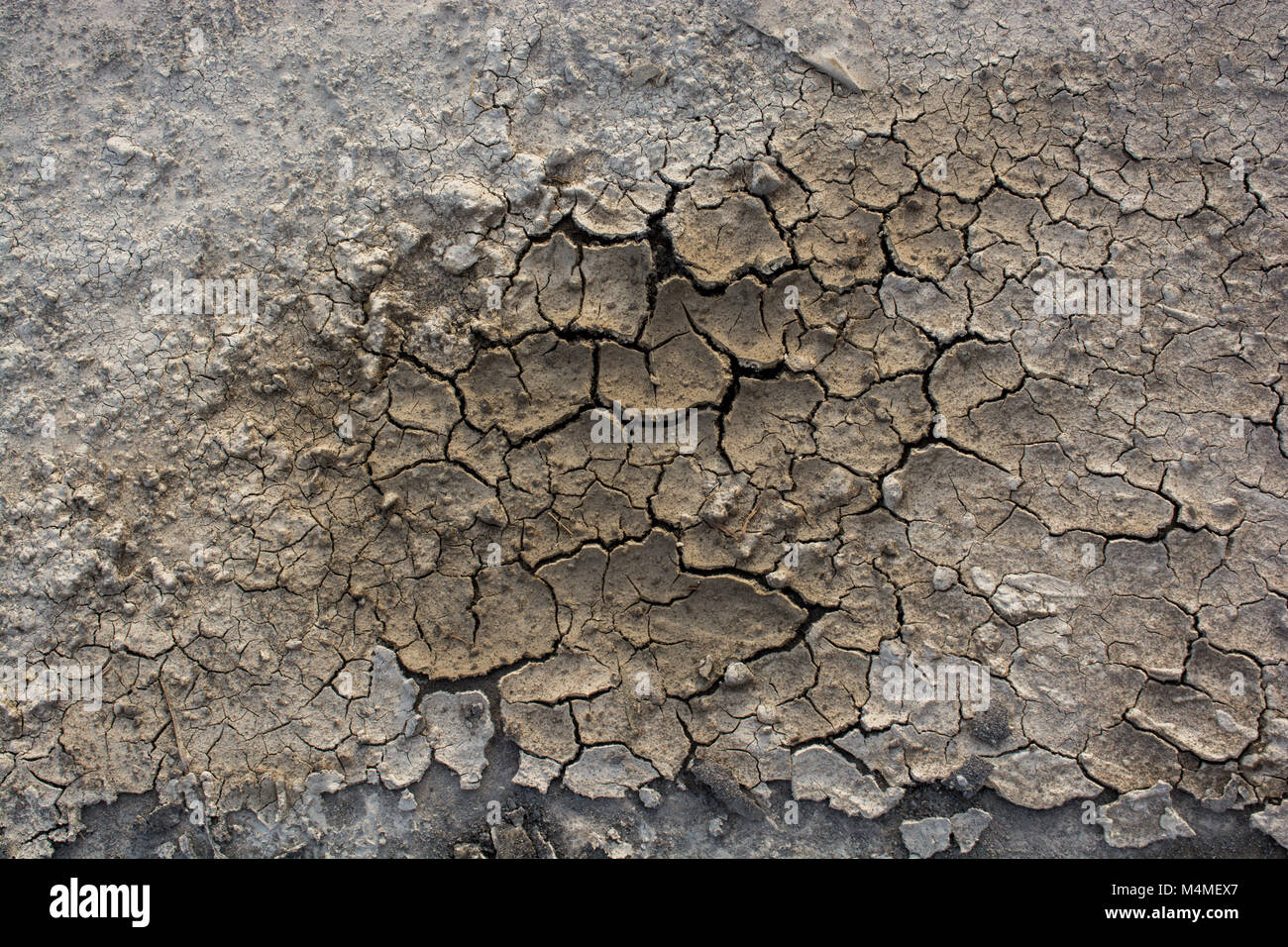Soil surface as a background texture Stock Photo - Alamy