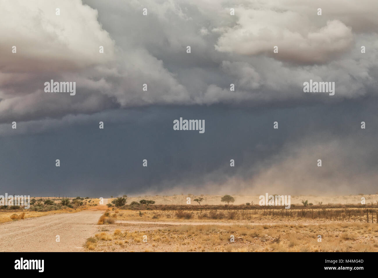 sand storm in namibia desert, gravel road Stock Photo - Alamy