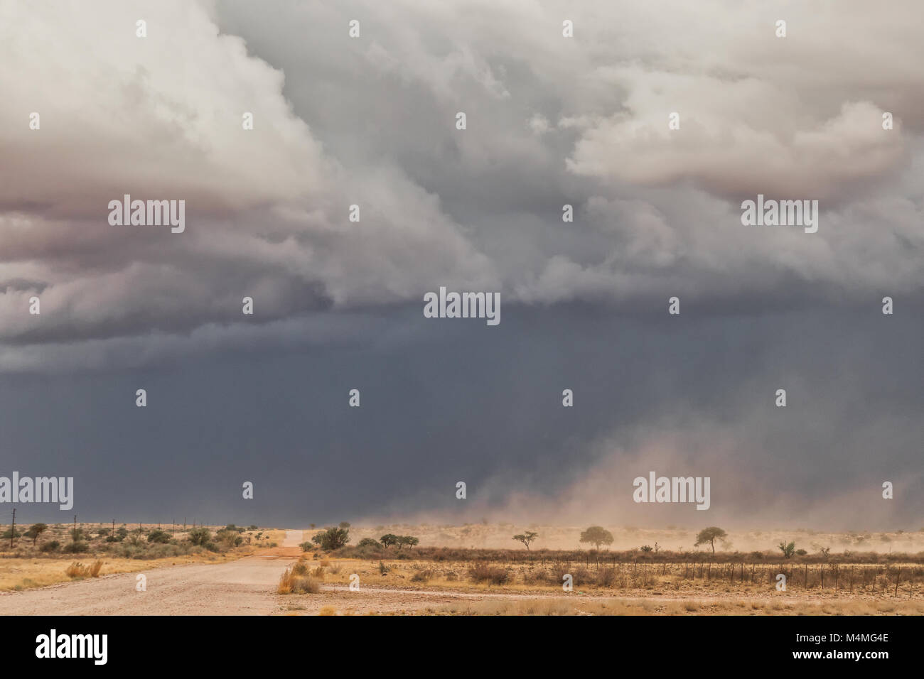 sand storm in namibia desert, gravel road Stock Photo - Alamy