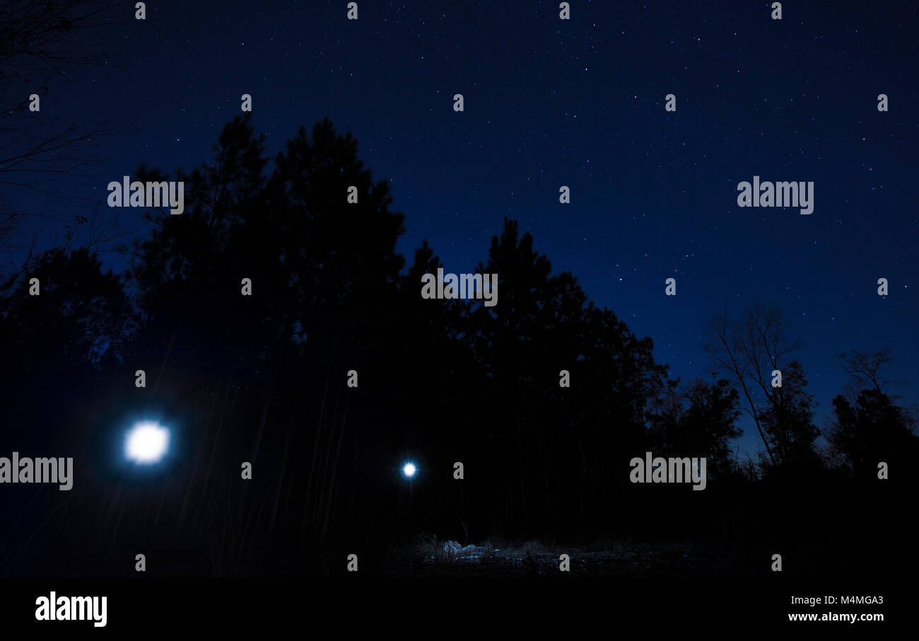 Two flashlights in a dark forest with blue sky and stars above Stock ...