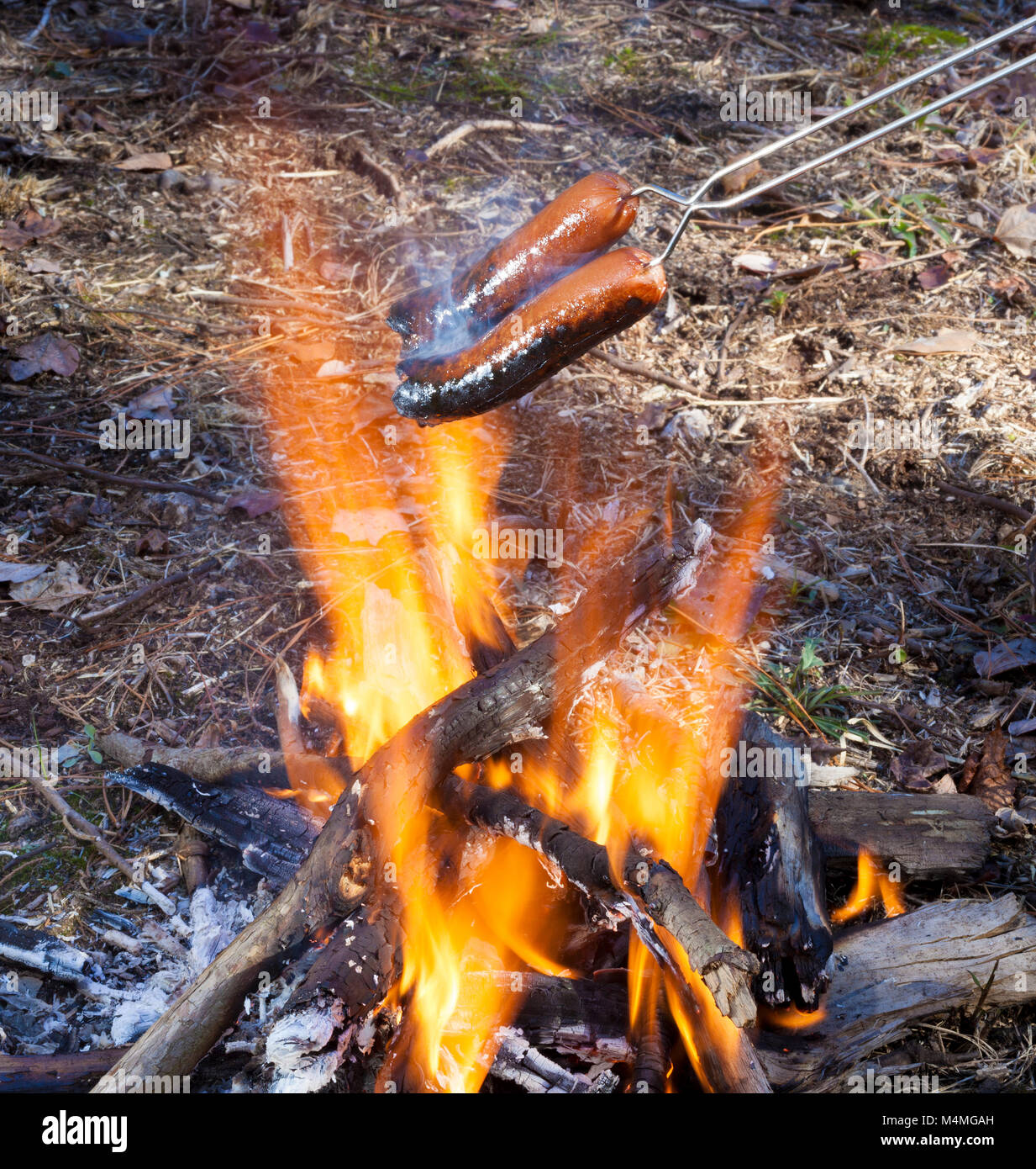 Roasting hot dogs at campfire hi-res stock photography and images - Alamy