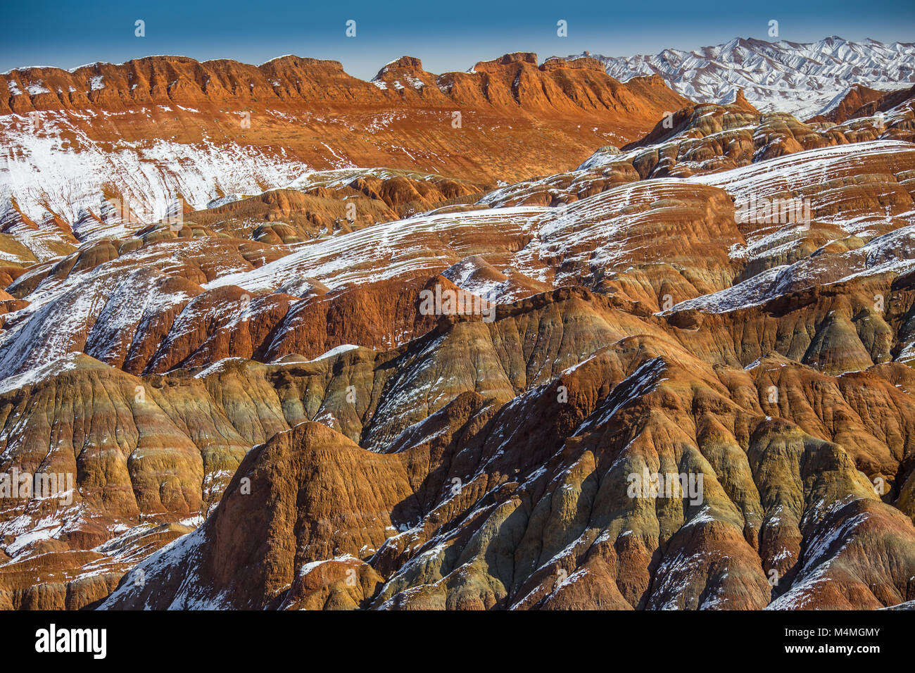 Lone pine tree on the rim of Bryce Canyon, China Stock Photo - Alamy