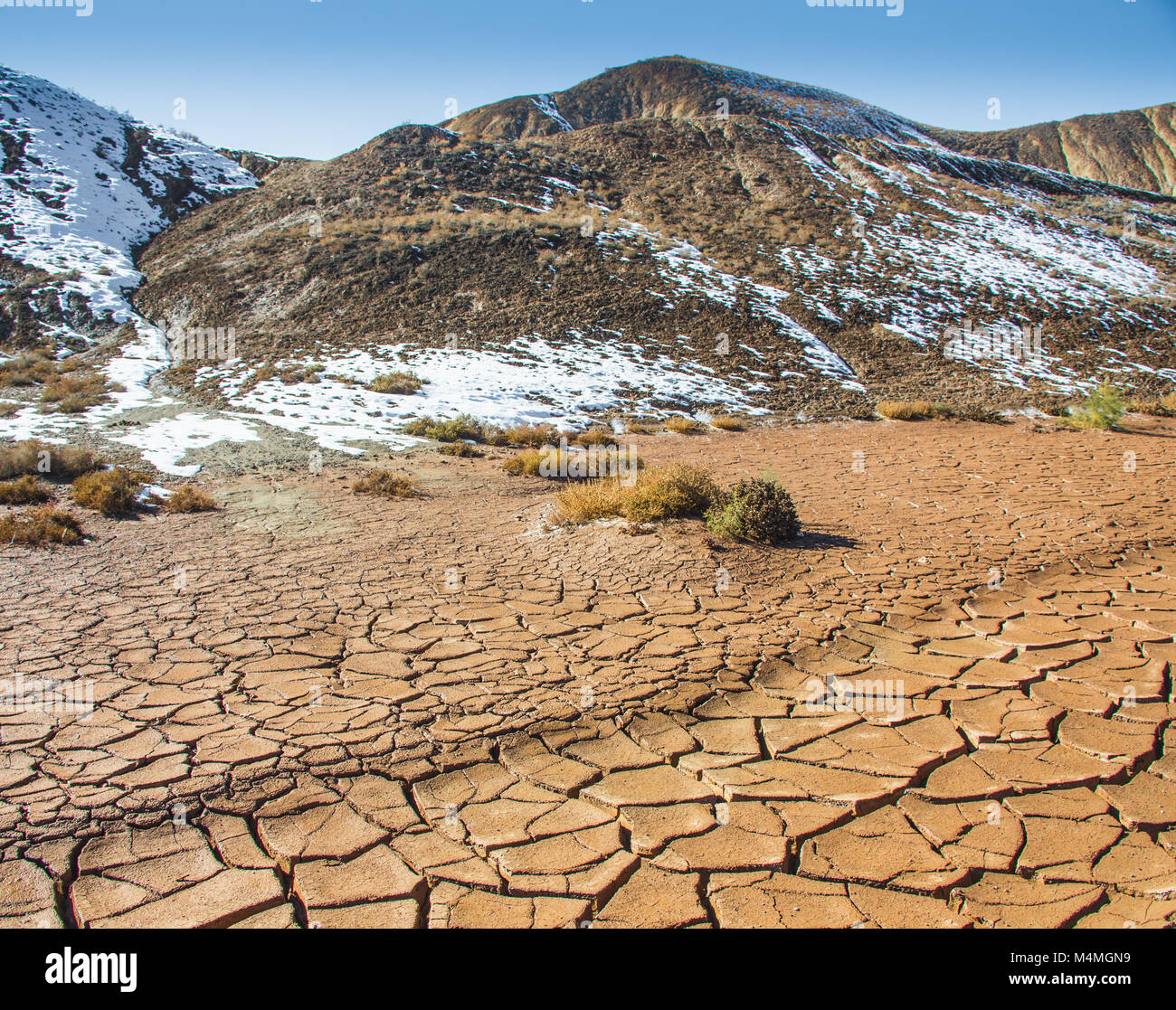 Land with dry and cracked ground. Desert Stock Photo - Alamy