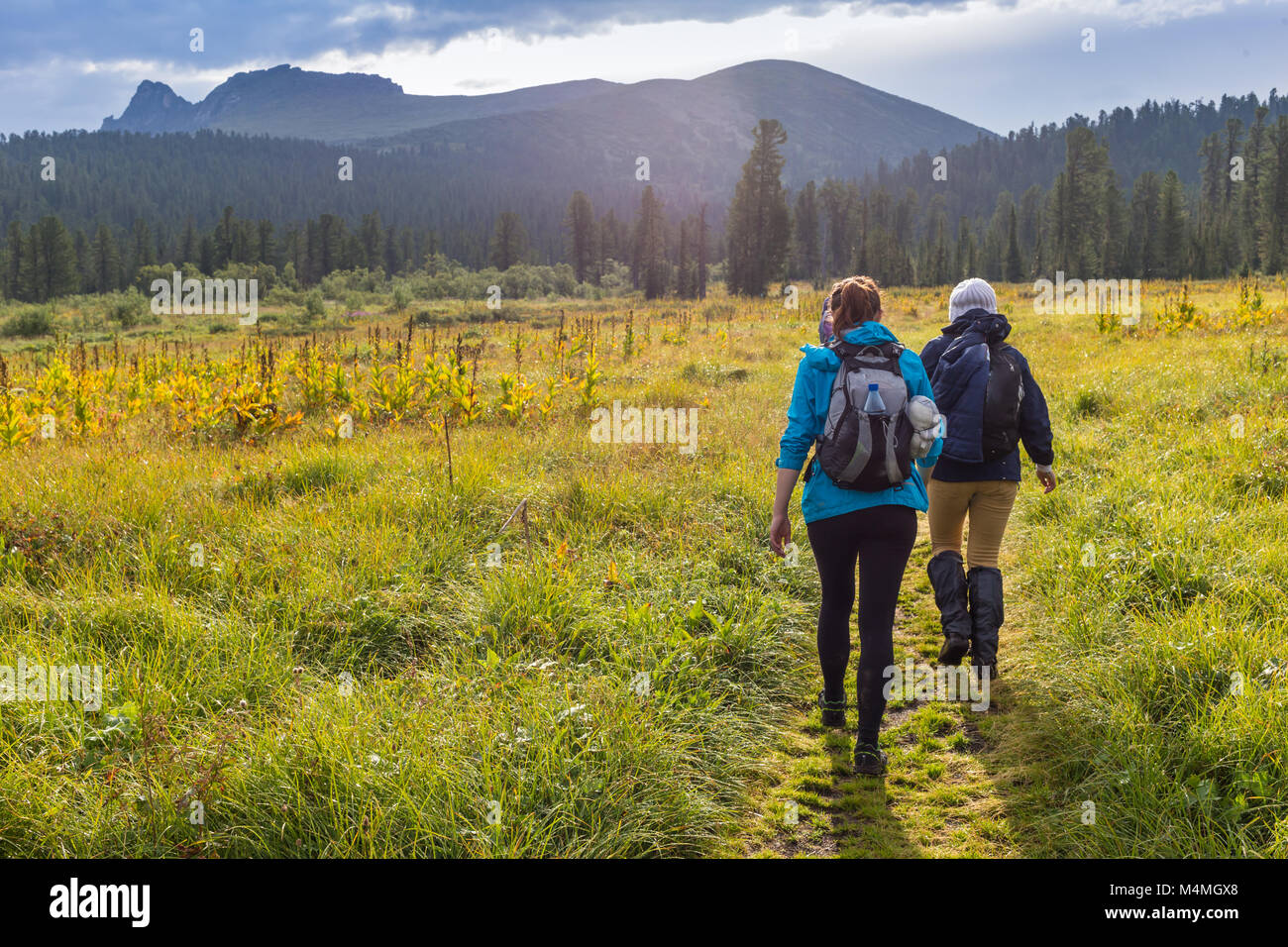 People go to the mountains, on a good path Stock Photo - Alamy