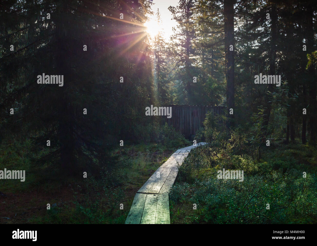 Good path hi-res stock photography and images - Alamy