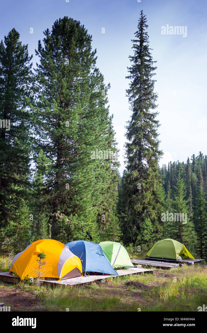 Family Enjoying Camping Holiday In Countryside in the forest Stock ...