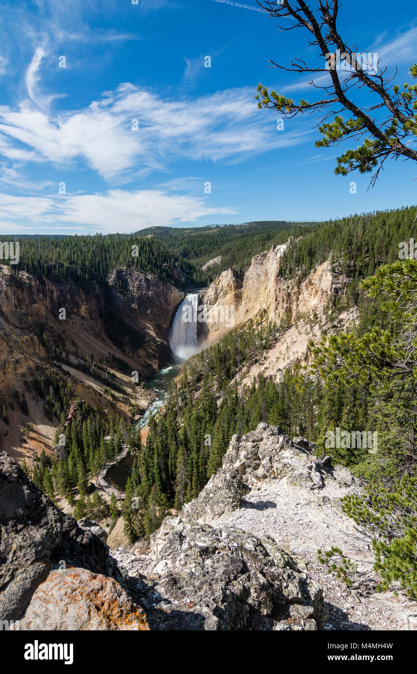 View of the Lower Falls of the Yellowstone RIver from Lookout Point ...