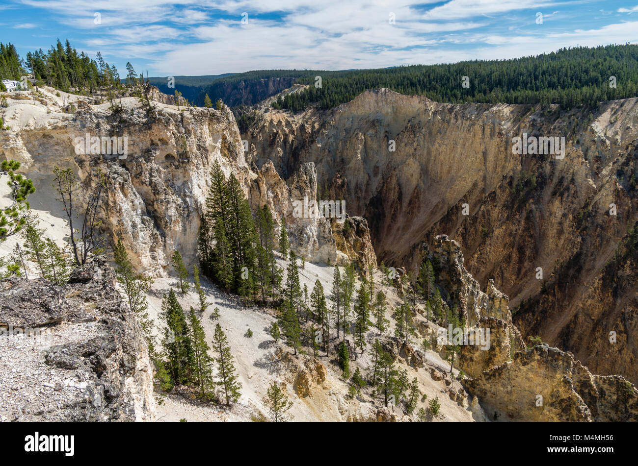 Rhyolite cliffs at the Grand Canyon of the Yellowstone. Rhyolite is a ...