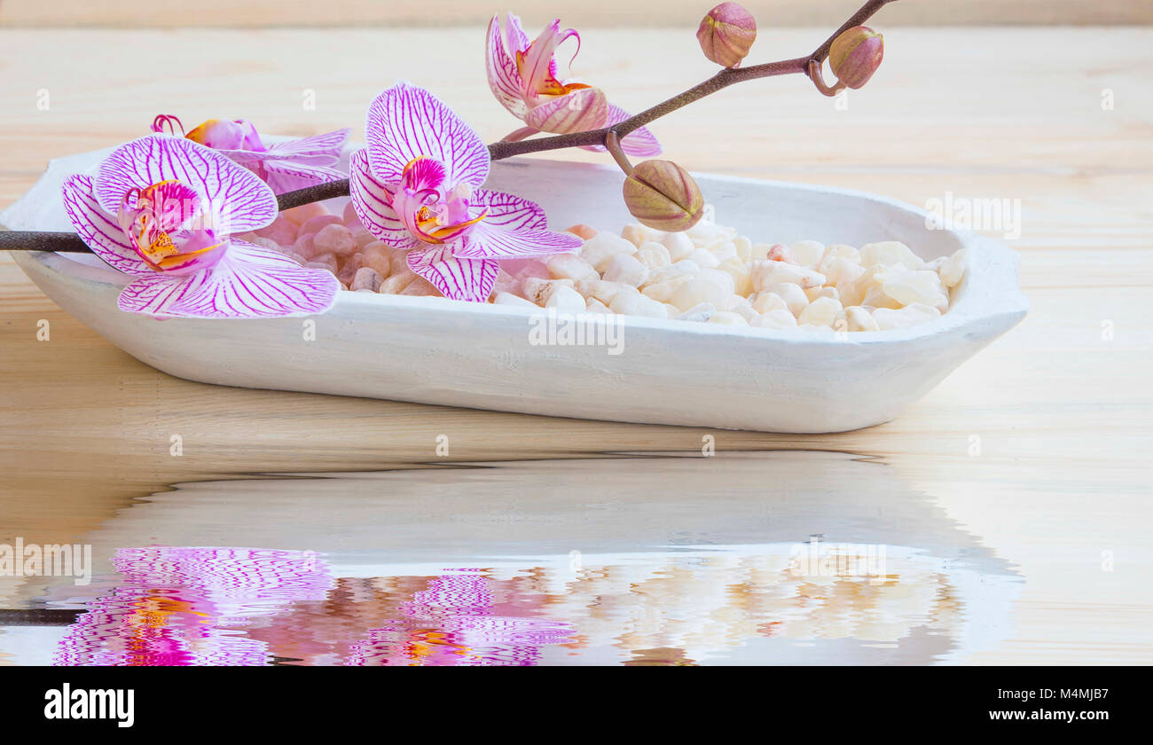 Spa setting with orchid and stones and water reflection, wellness and ...
