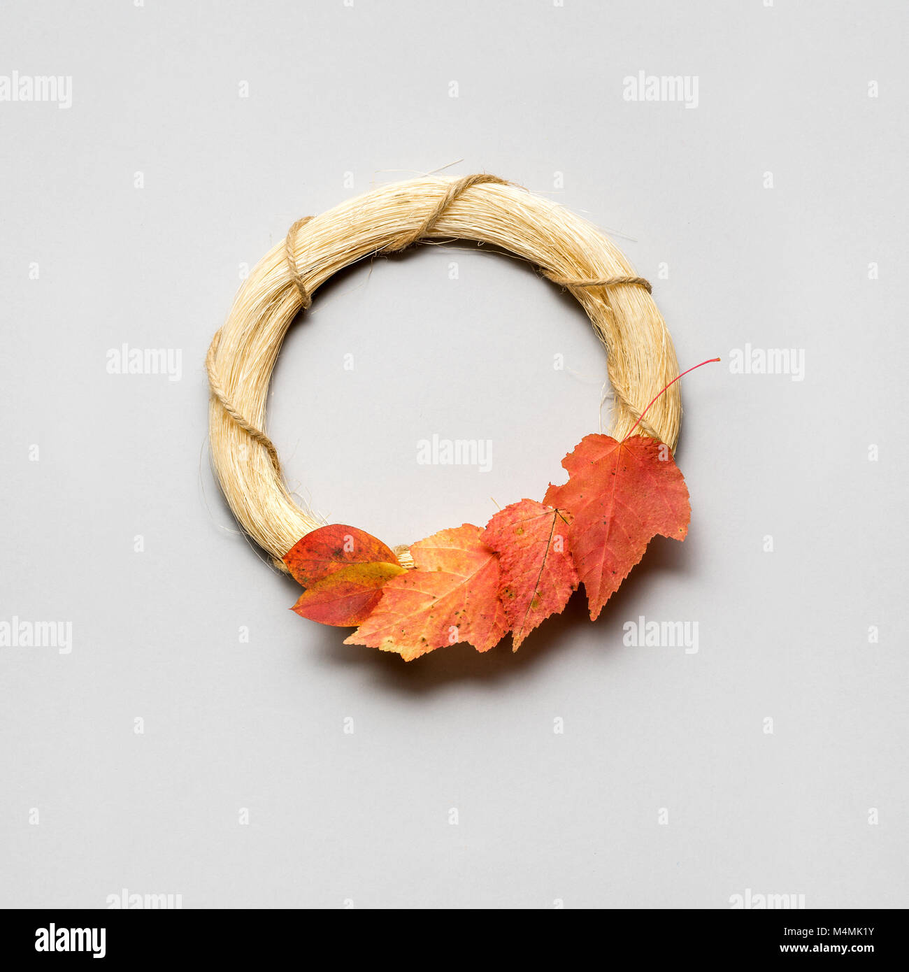 Creative thanksgiving day concept photo of leaves on grey background ...