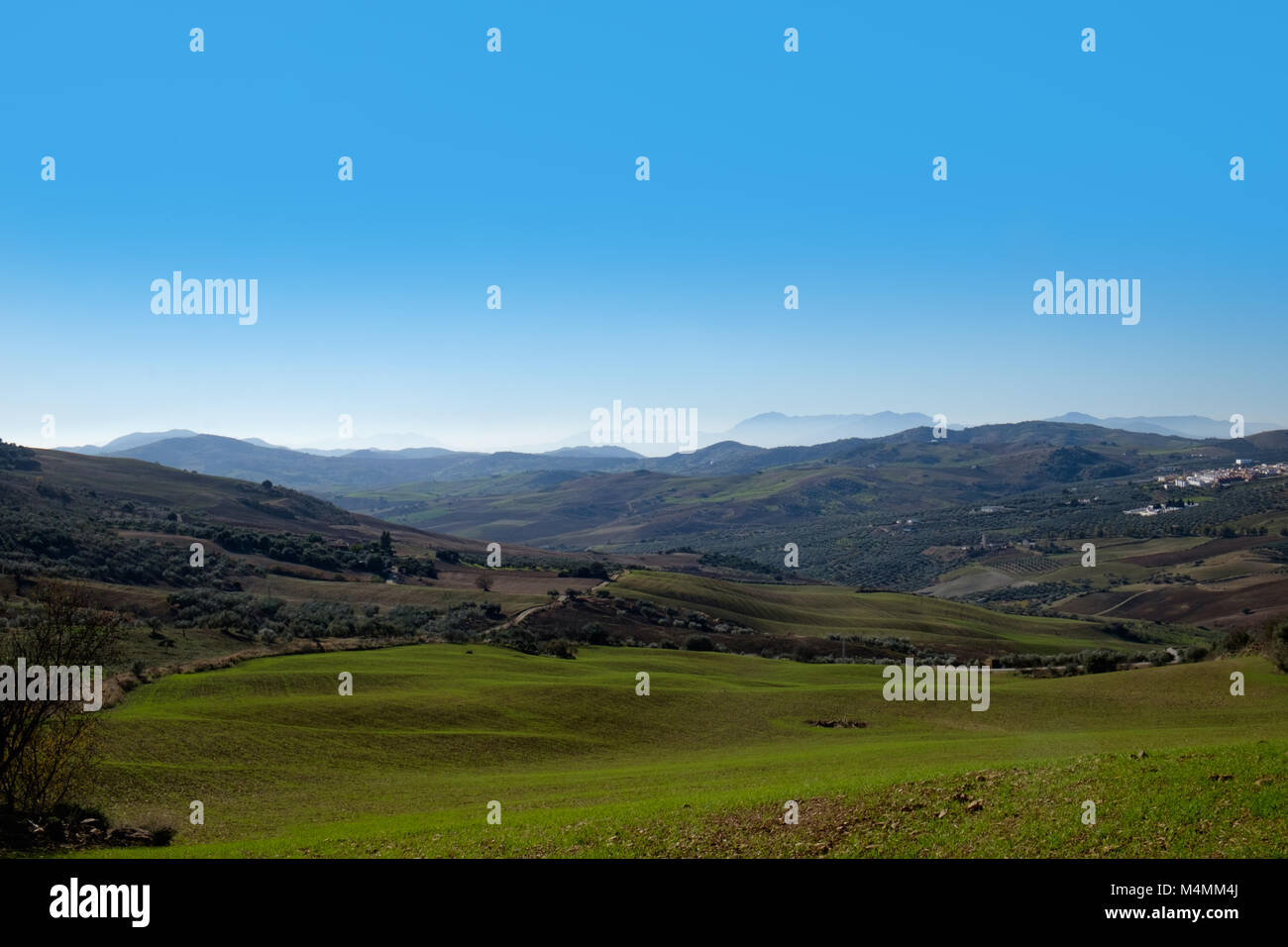 Landscape of southern Spain near Velez Malaga, in winter, the ...