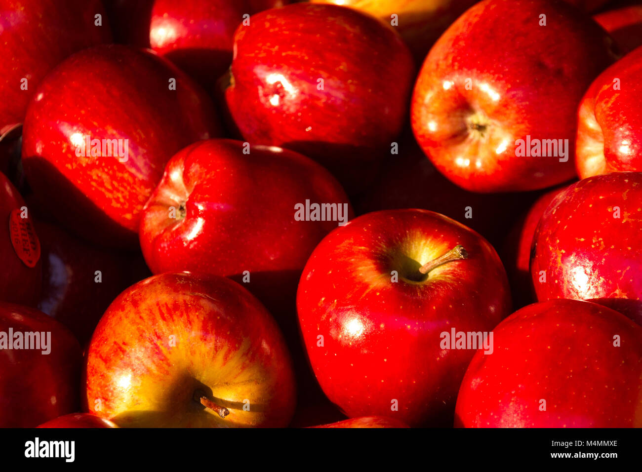 Fresh red apples Stock Photo - Alamy