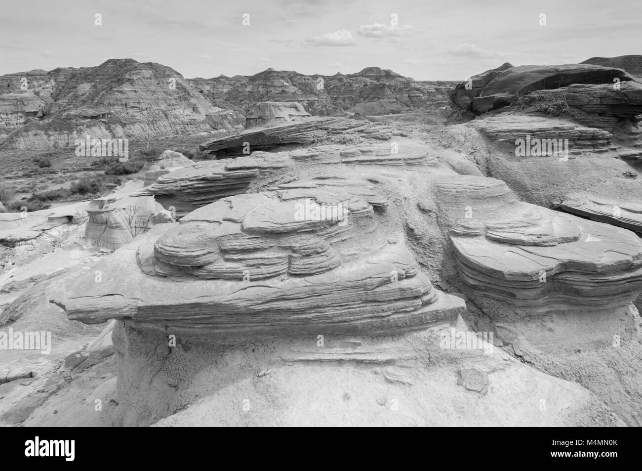 Landforms in Dinosaur Provincial Park, Alberta, Canada in monochrome; a ...