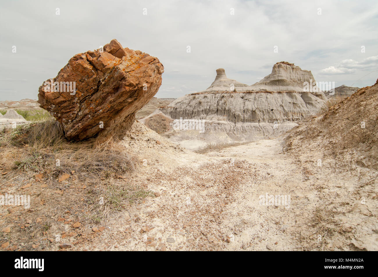 Trail and landforms in Dinosaur Provincial Park, Alberta, Canada; a ...