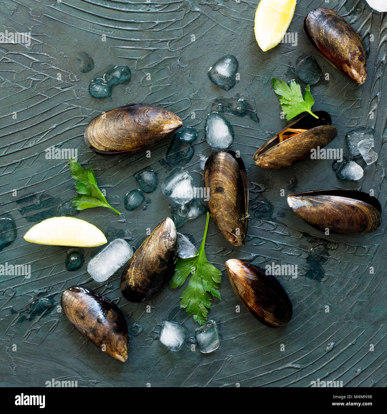 Scallops on a stone hi-res stock photography and images - Alamy