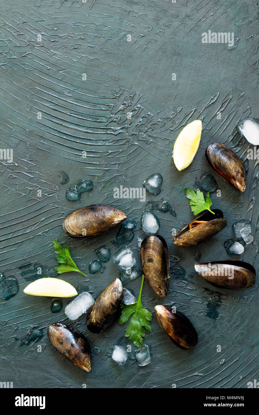 Scallops on a stone hi-res stock photography and images - Alamy