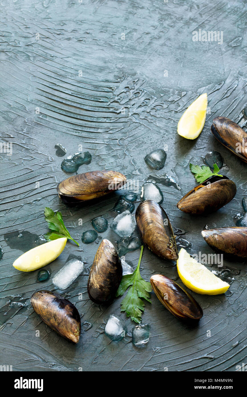 Scallops on a stone hi-res stock photography and images - Alamy