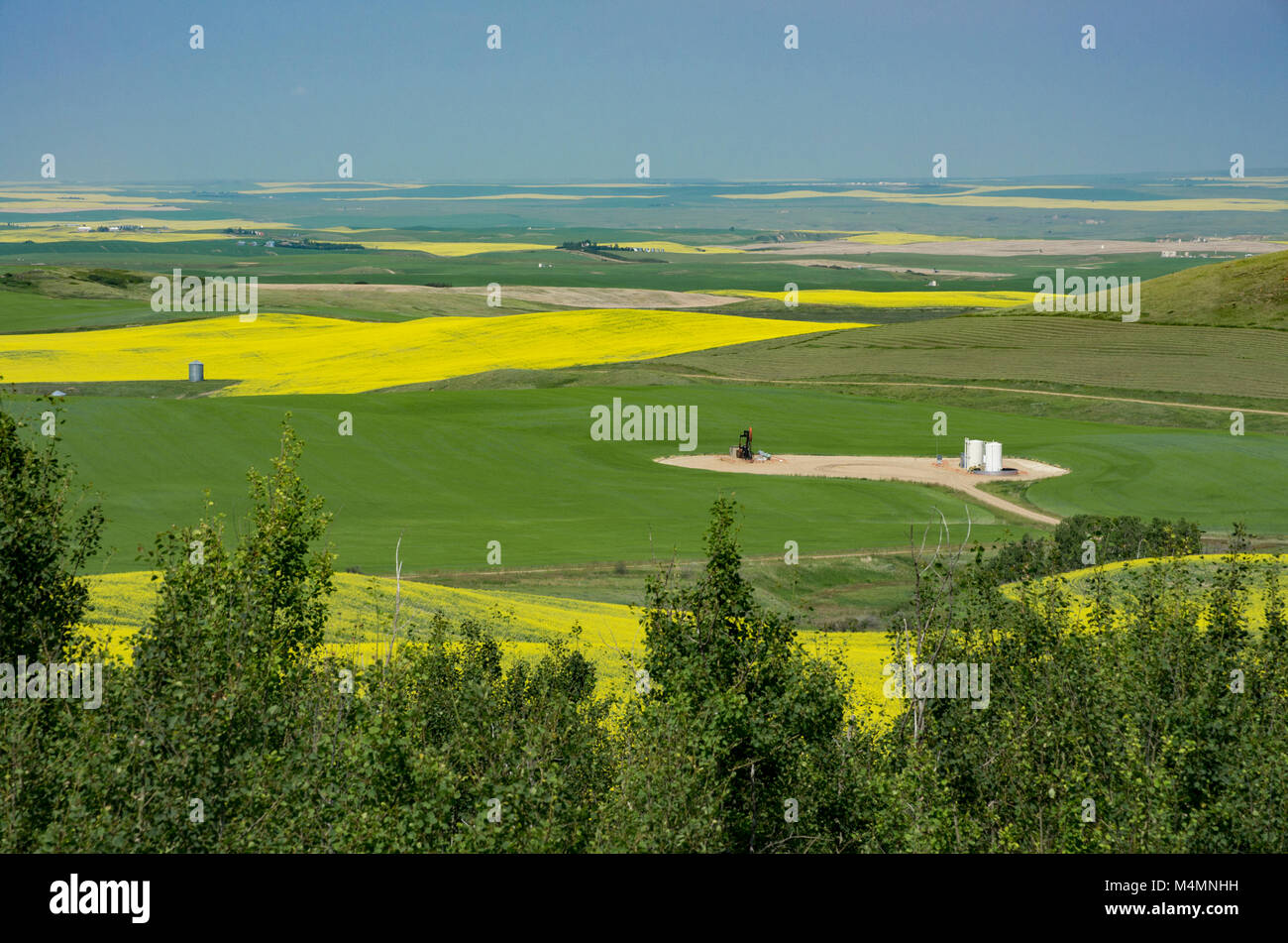 Wheatland County, Alberta, Canada. Looking northeast from the Wintering ...