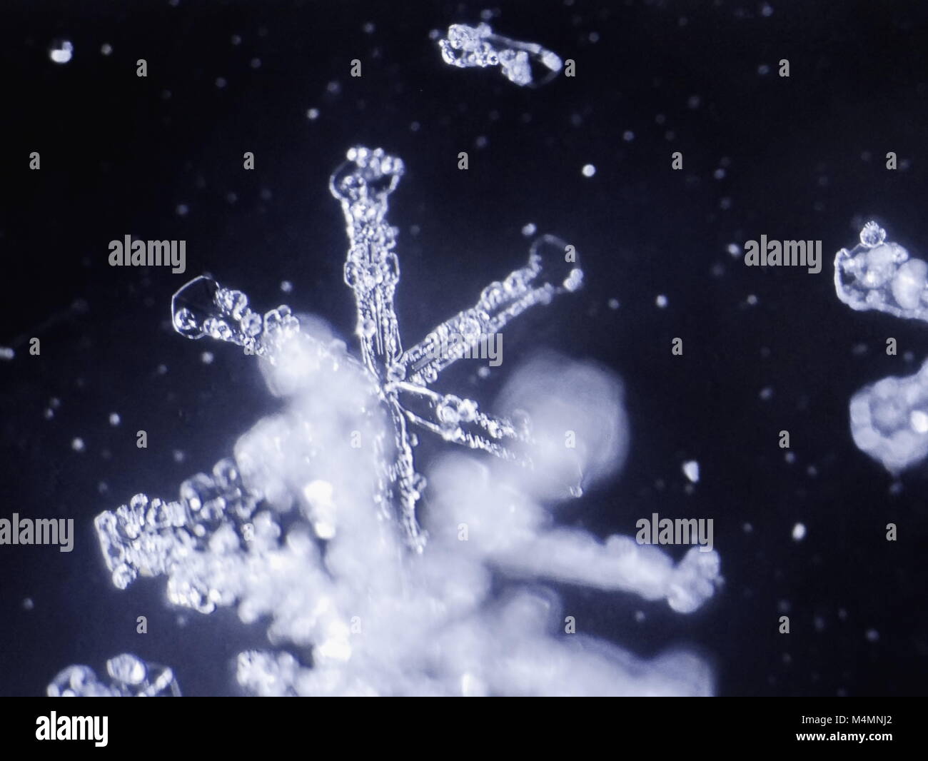 Real snowflake hi-res stock photography and images - Alamy