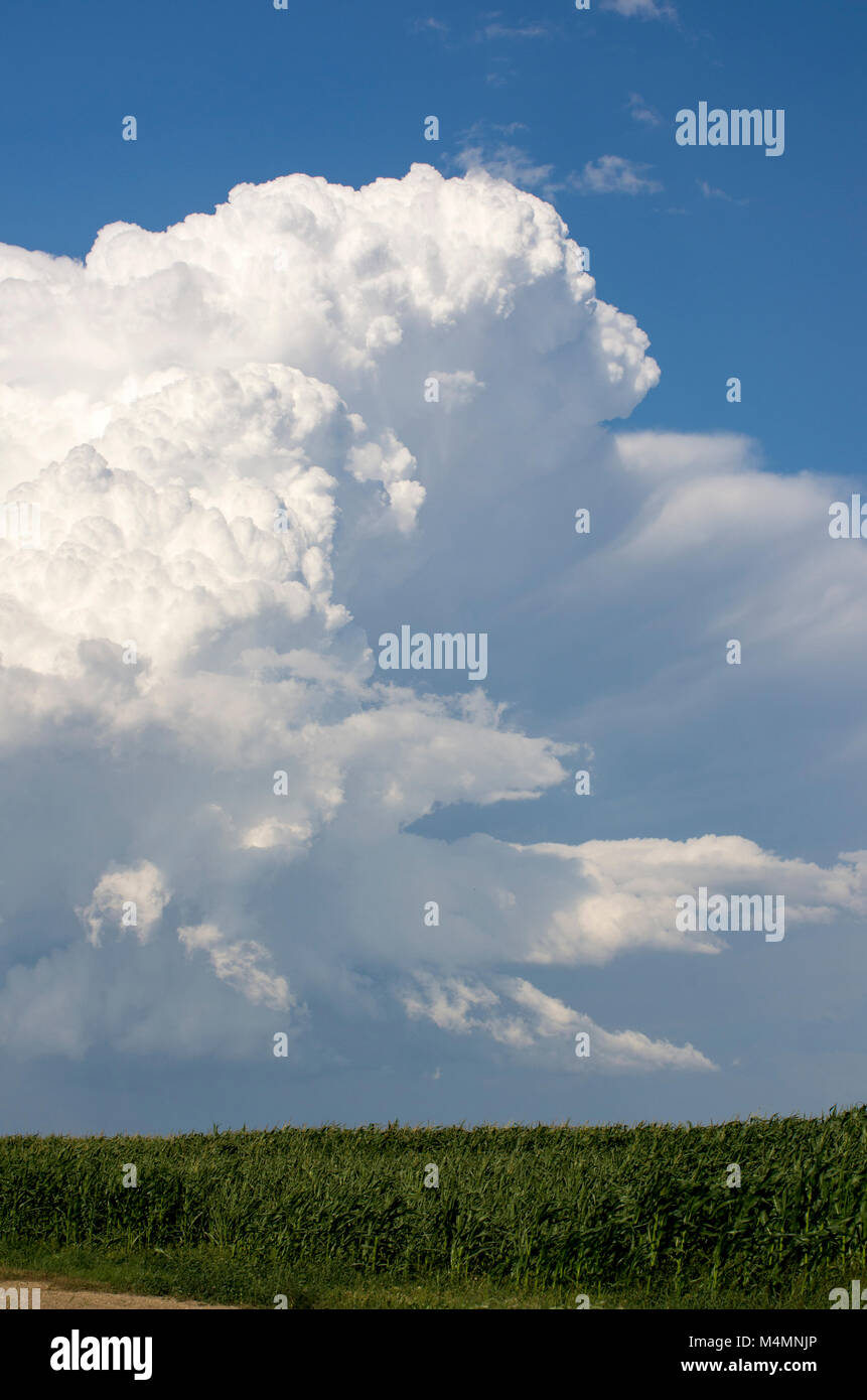 Thunderstorm field hi-res stock photography and images - Alamy