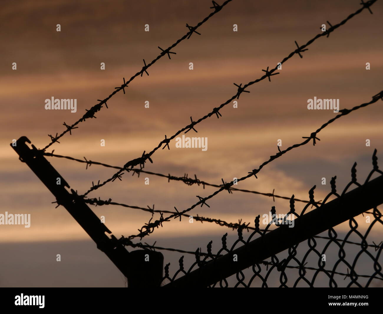 Close Up Barbed Wire High Resolution Stock Photography and Images - Alamy