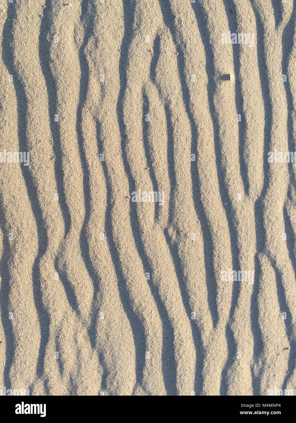 Arid texture hi-res stock photography and images - Alamy