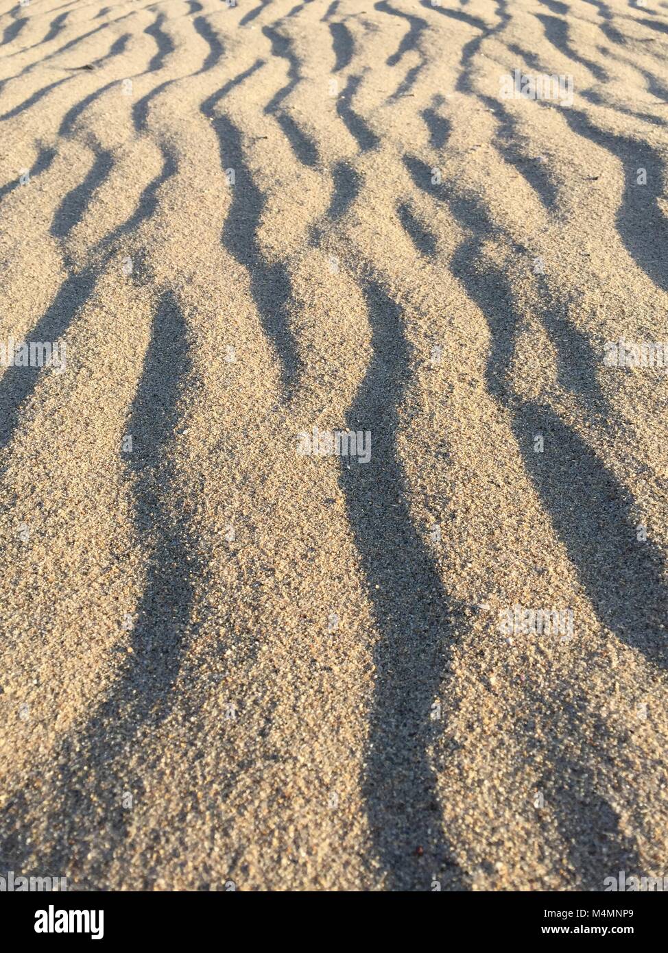Arid texture hi-res stock photography and images - Alamy
