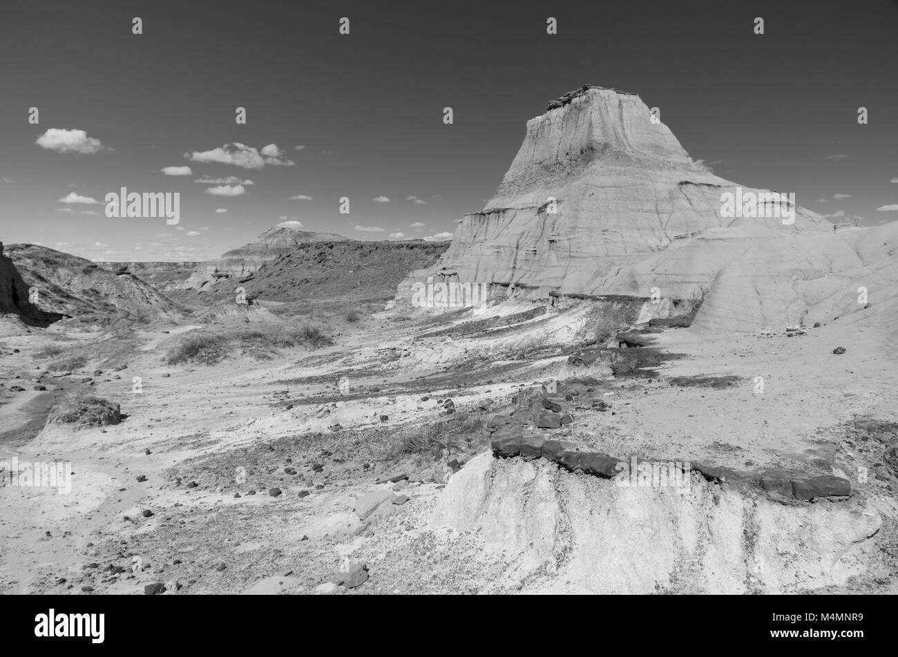 Landforms in Dinosaur Provincial Park, Alberta, Canada in monochrome; a ...