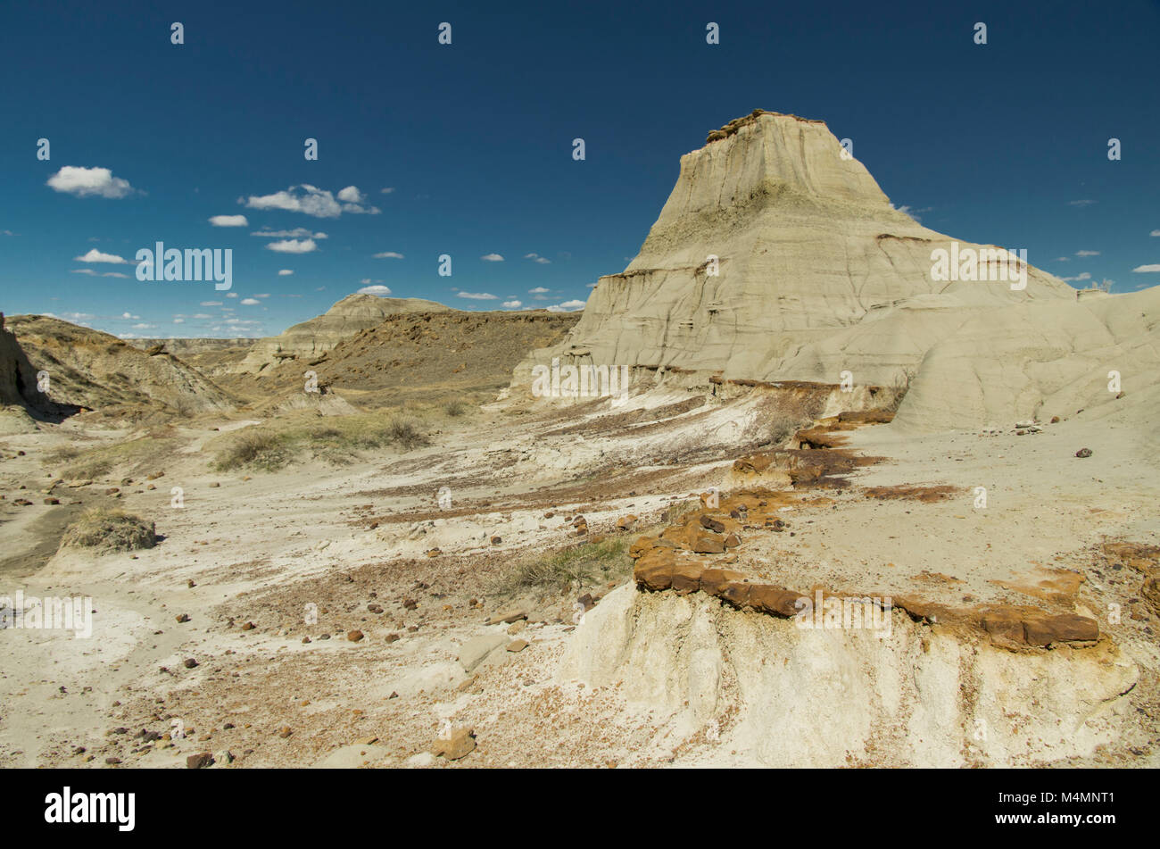 Landforms in Dinosaur Provincial Park, Alberta, Canada; a UNESCO World ...