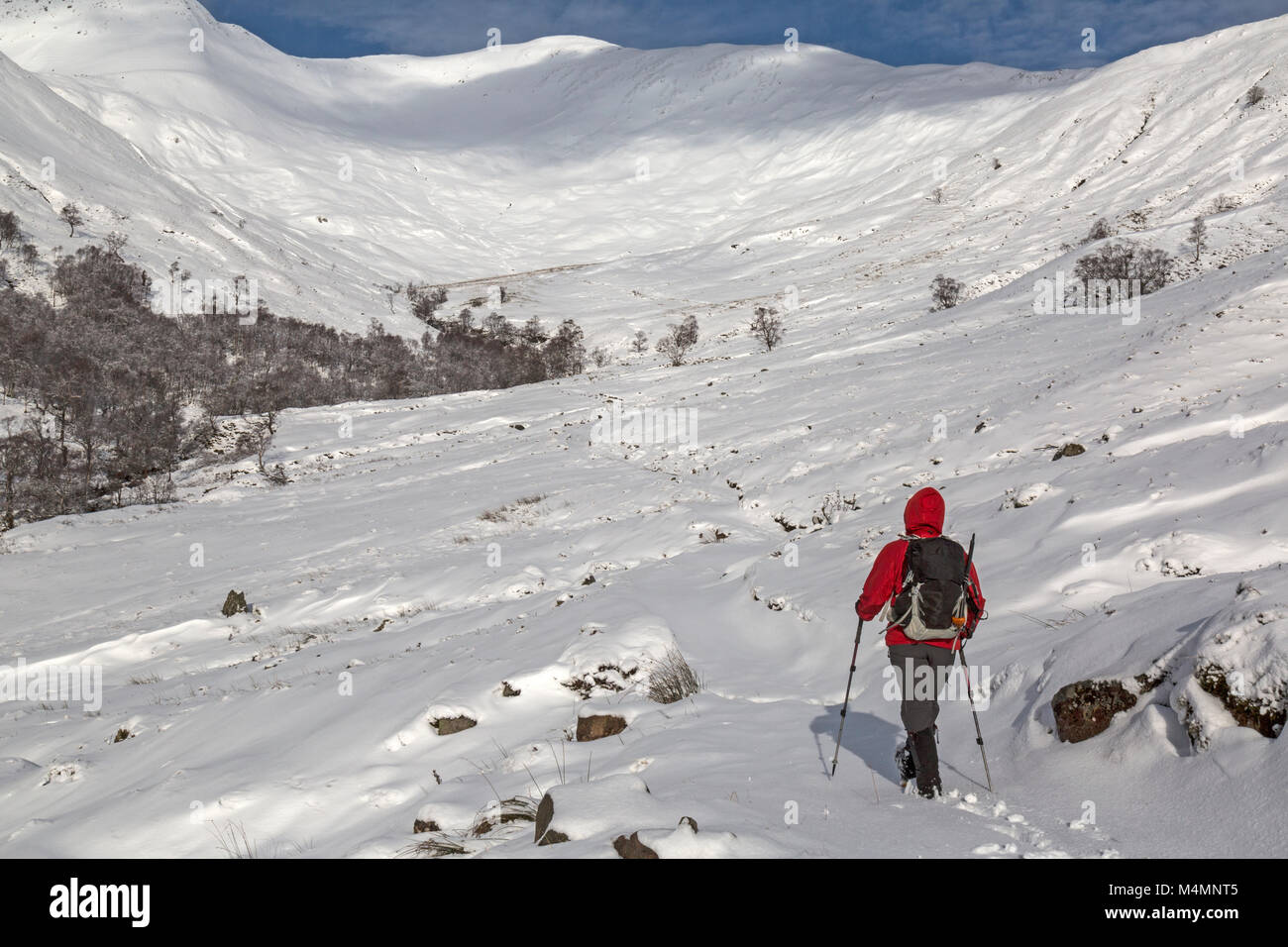Female hiker heading towards Stob Coire a' Chàirn in the Mamores ...