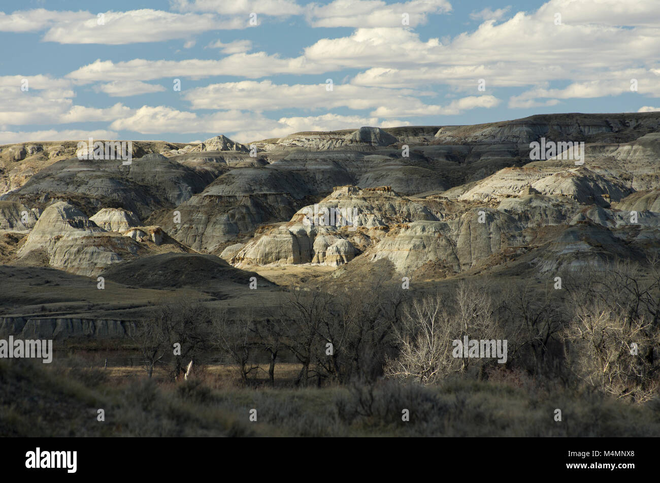 Red Deer River Valley in early spring, Dinosaur Provincial Park ...