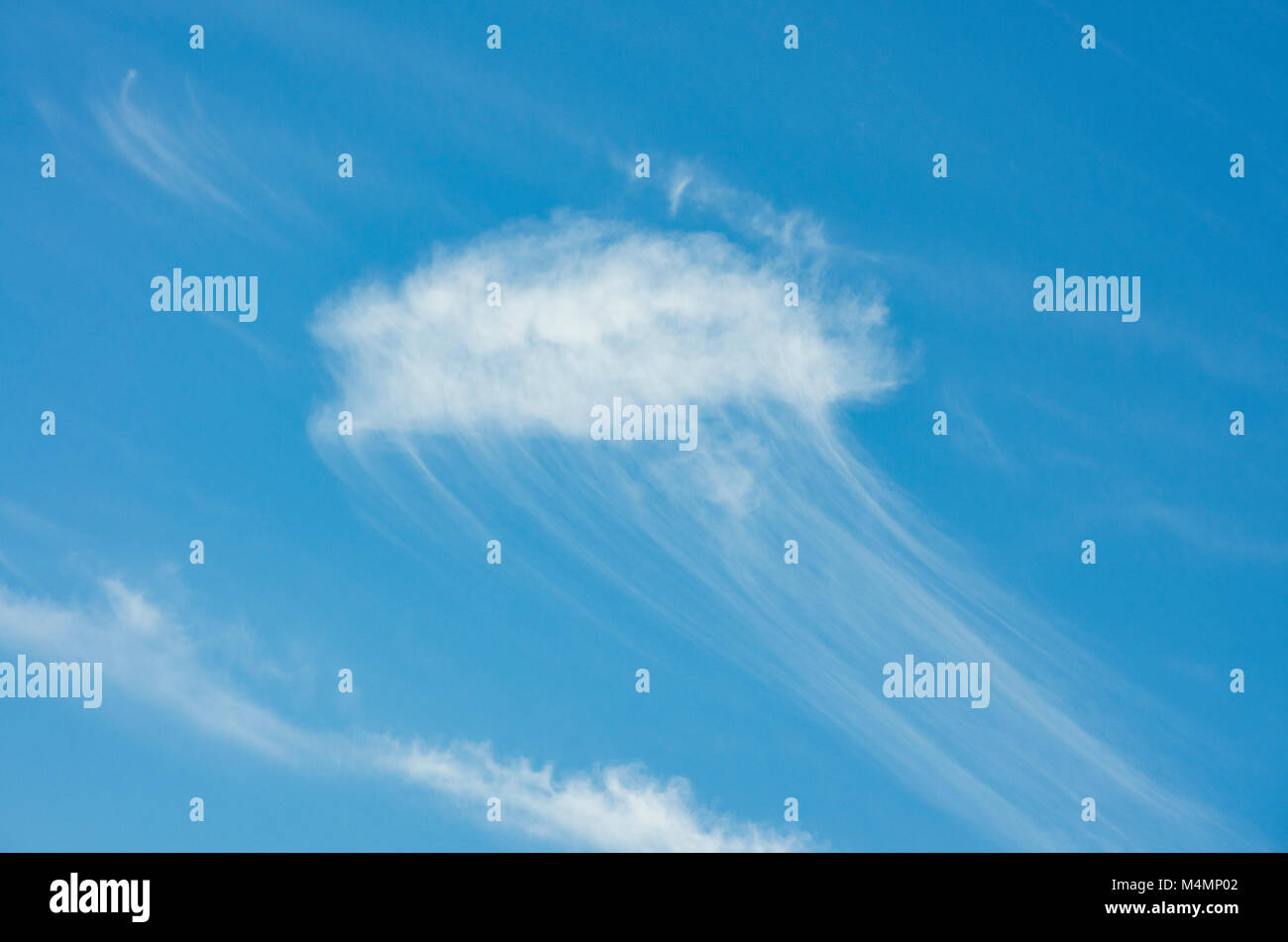 Cirrus cloud in shape of jellyfish in blue sky Stock Photo - Alamy