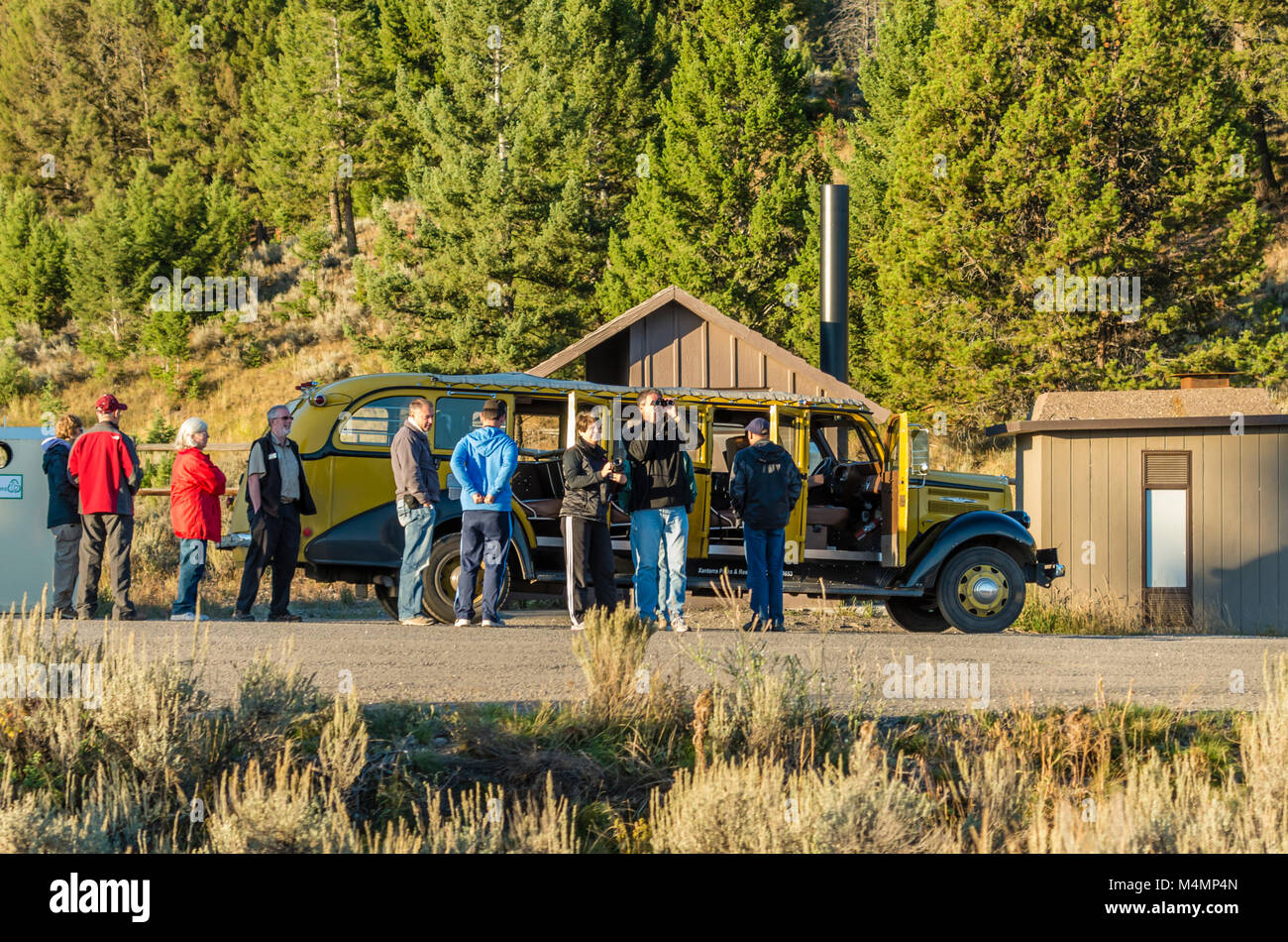 Yellowstone bus hi-res stock photography and images - Alamy