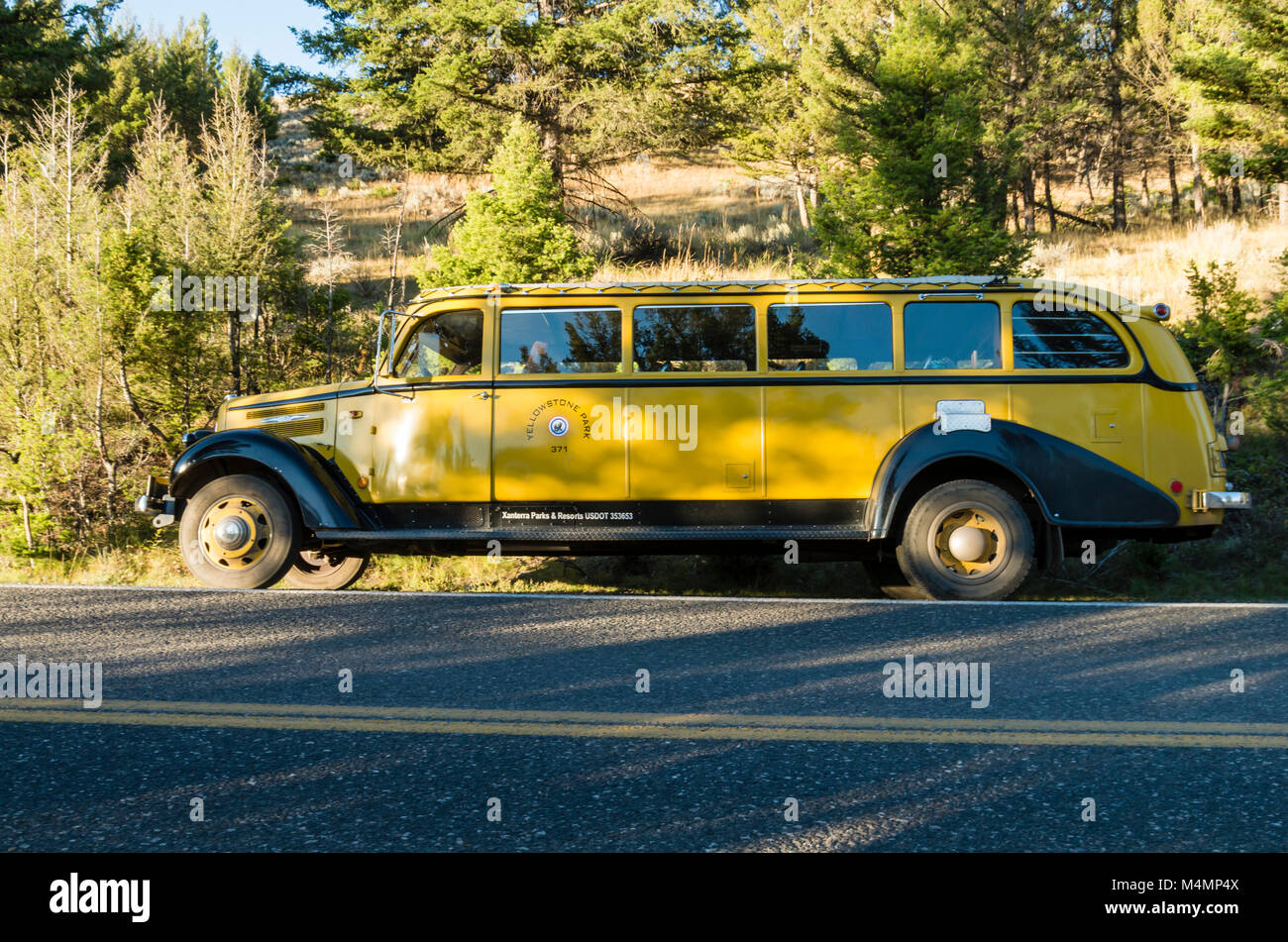 One the classic Yellowstone yellow buses. Yellowstone National Park ...