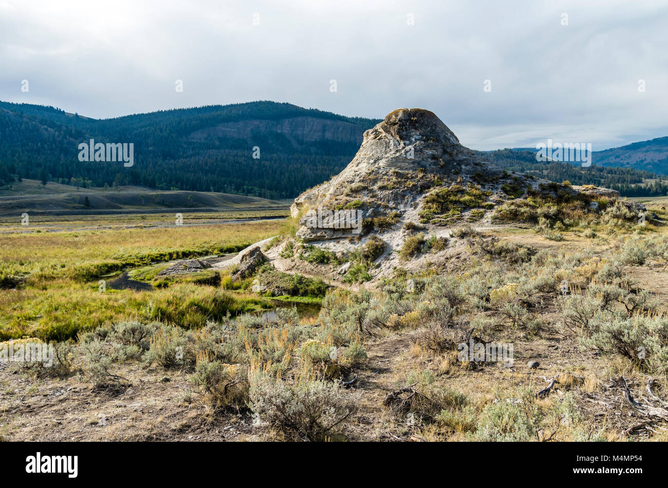Soda Butte was formed from deposits of travertine left by a hot spring ...
