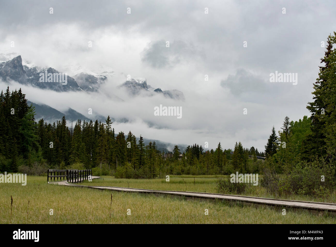 Canmore, Alberta, Canada. Policeman's Creek Boardwalk on an overcast ...