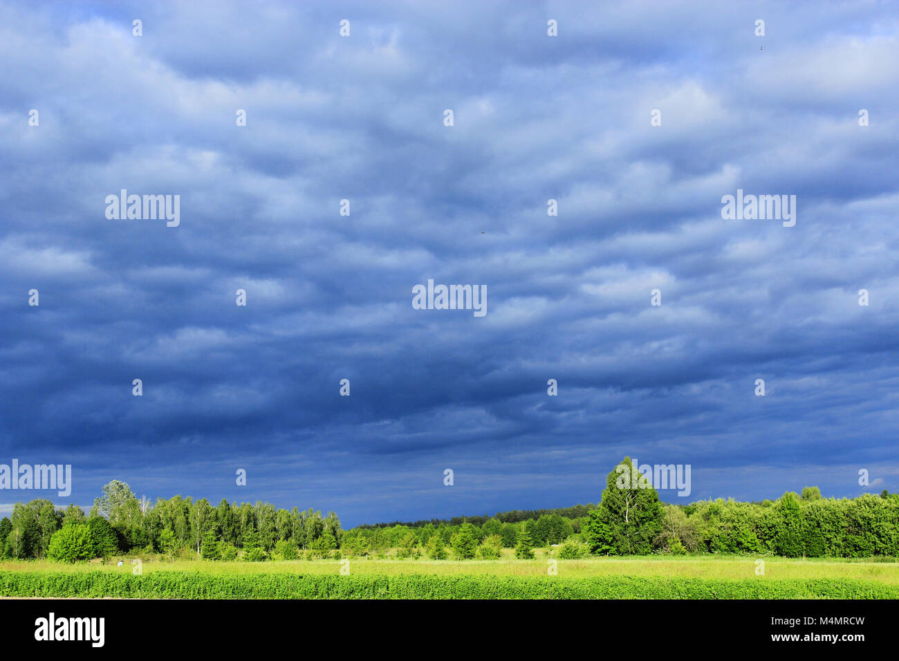 landscape with dark rainy clouds under the forest and meadow Stock ...