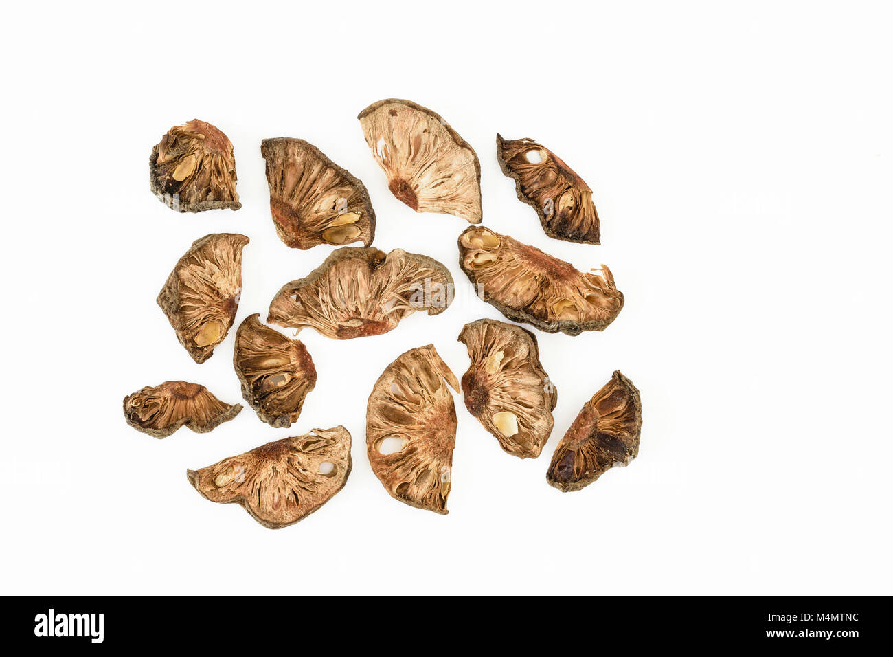 Sun dried Kokum phool or vatamba (artocarpus lacucha) on a white ...