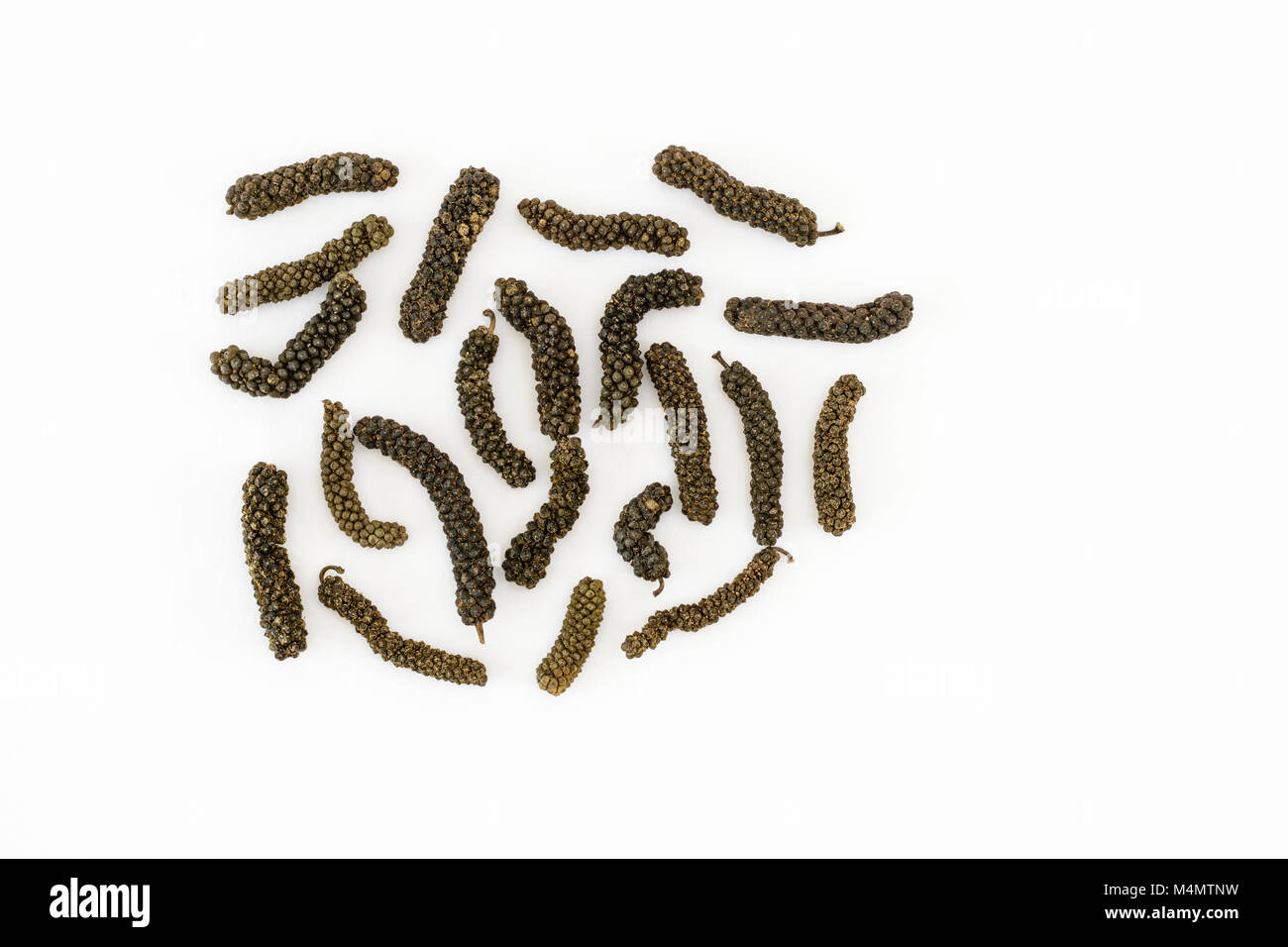 Long Pepper pr Pippali (Piper Longum) on a white background Stock Photo ...