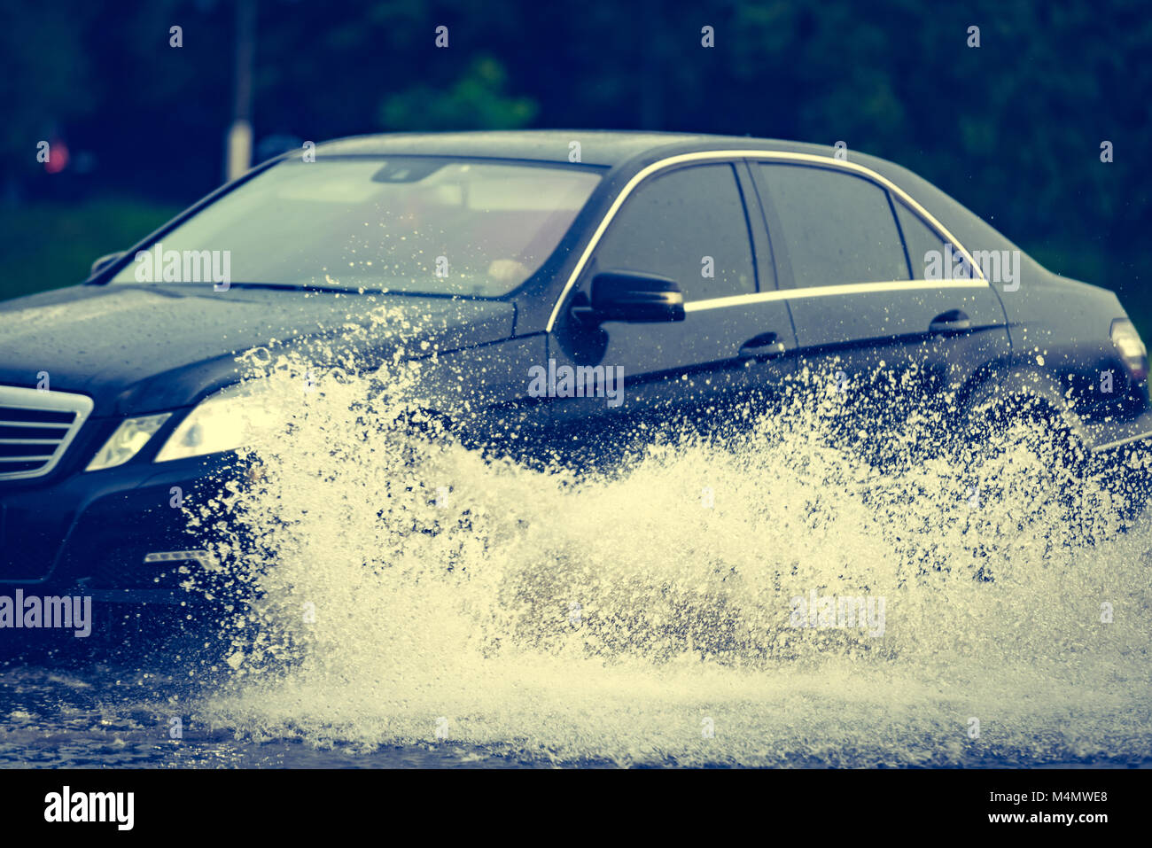 car rain puddle splashing water Stock Photo - Alamy